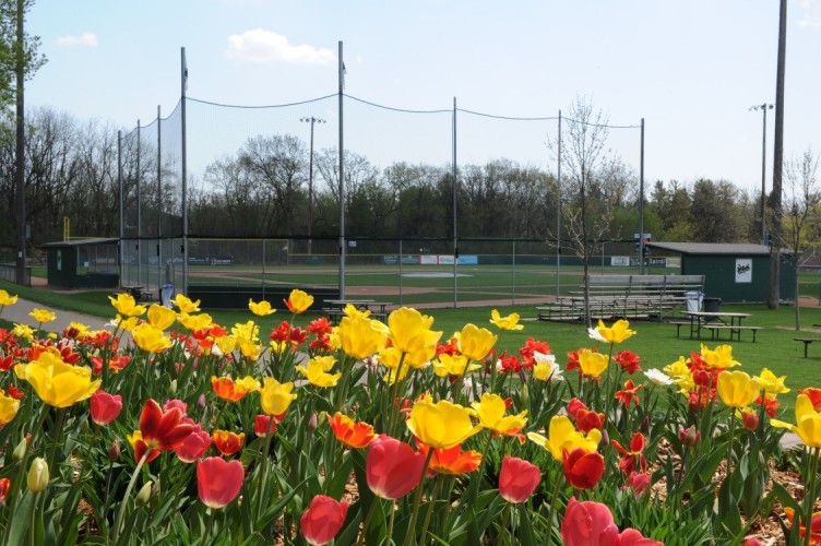 ballpark-landscaping - Beacon Athletics Blog & Ballfield Tips